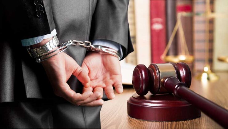 Intriguing Case: Legal Tensions Between Braddock and Congresswoman Luna ...